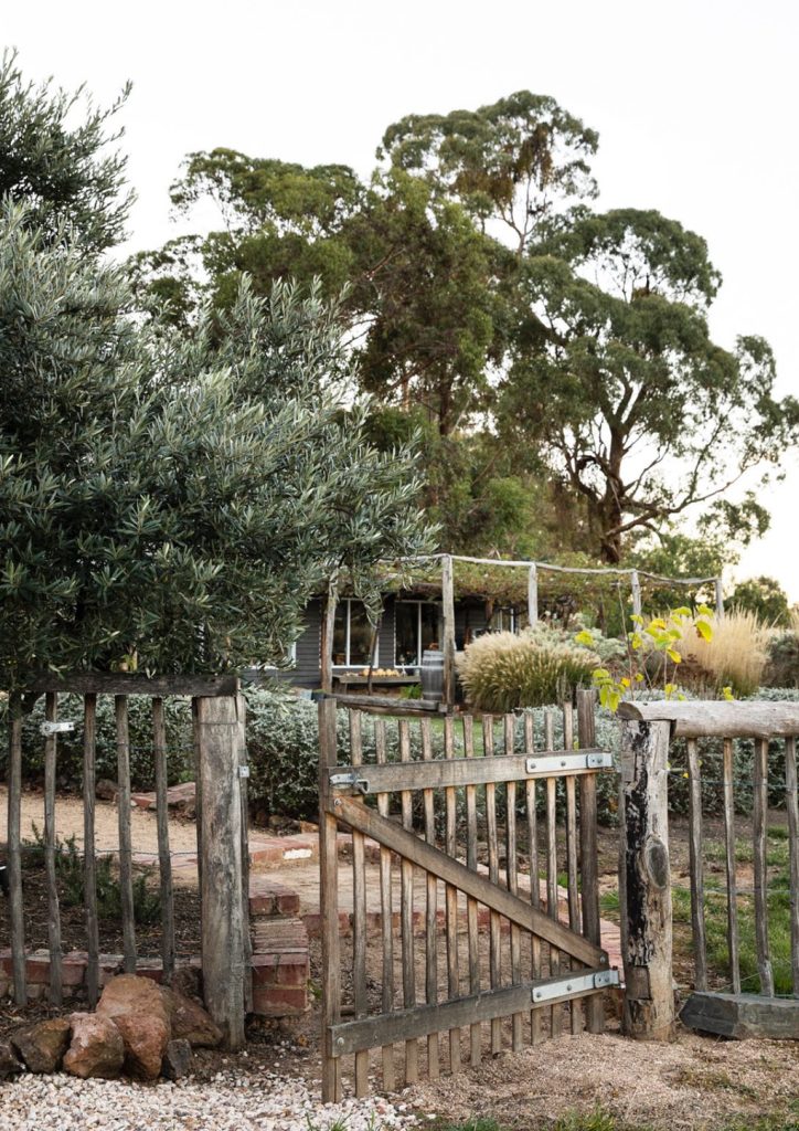 Wattle & Wire Gallery - Radial Timber Sales